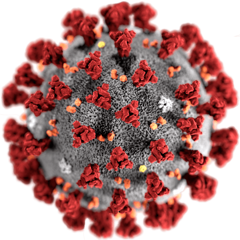 Coronavirus Marketing Relief | Business Recovery Packages